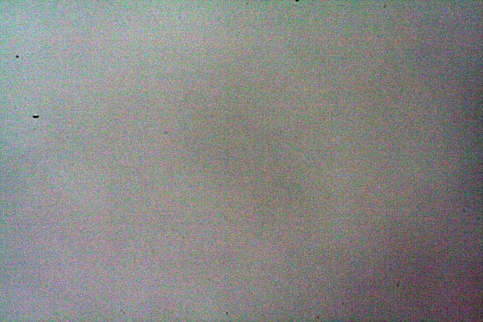 Stephen Burch (Steve Burch) Birding Website: DSLR Sensor Cleaning